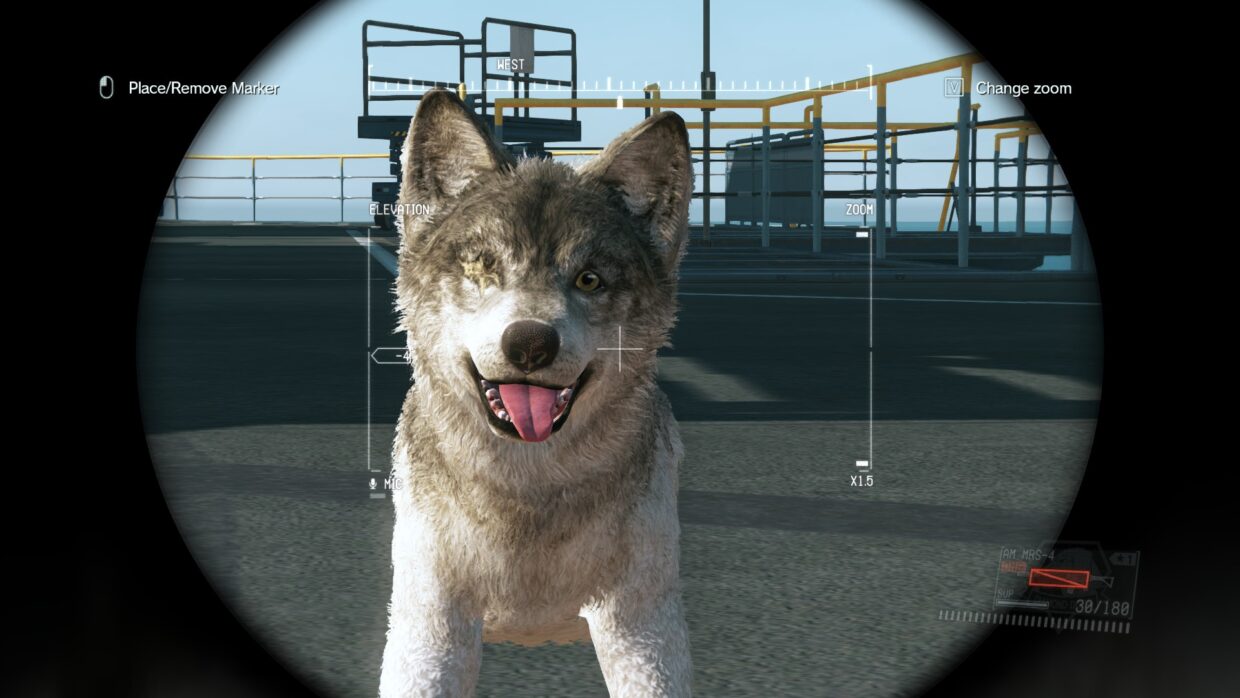 The Top 5 Animal Companions in Gaming | Goomba Stomp Magazine