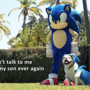 Sonic 25th Anniversary round-up: Sonic hit a dab and we watched ...