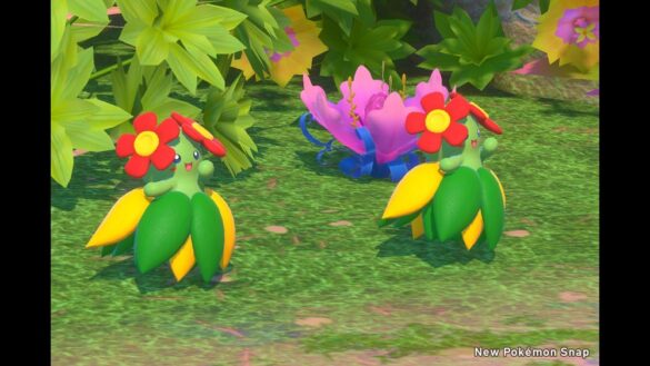 'New Pokémon Snap' Review for Nintendo Switch | Goomba Stomp Magazine