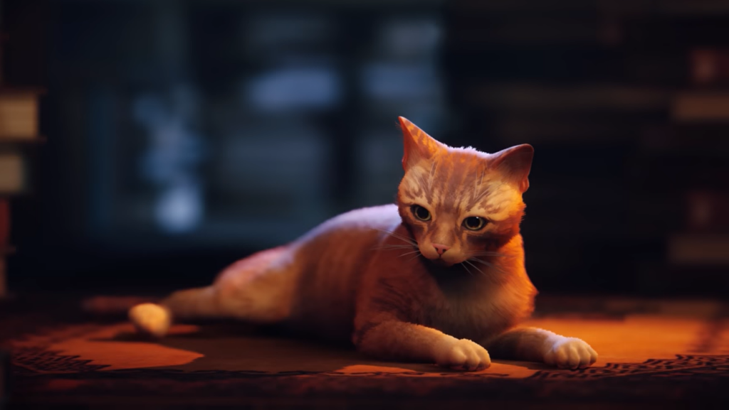 STRAY Trailer Breakdown | Goomba Stomp Magazine